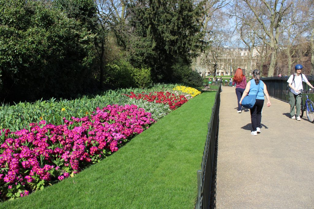 Springtime in London - International House London