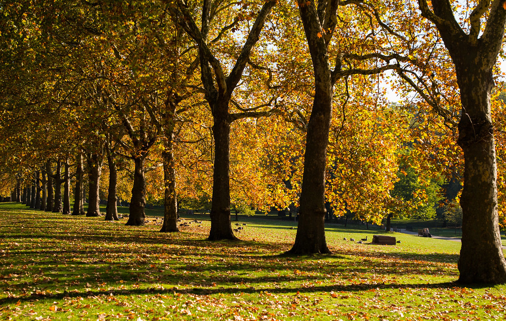 Discover London this November - International House London